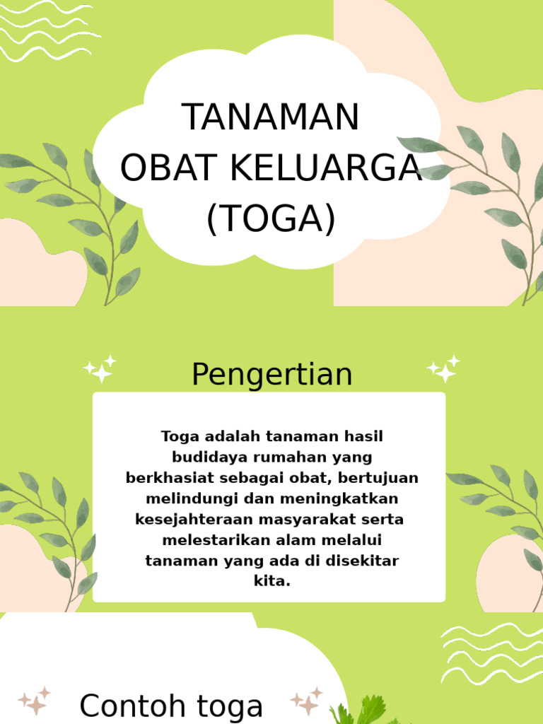 Manfaat Tanaman Obat Keluarga (TOGA) | PDF