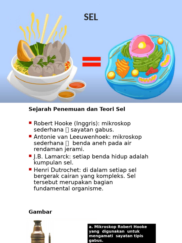 Biologi - Sel | PDF