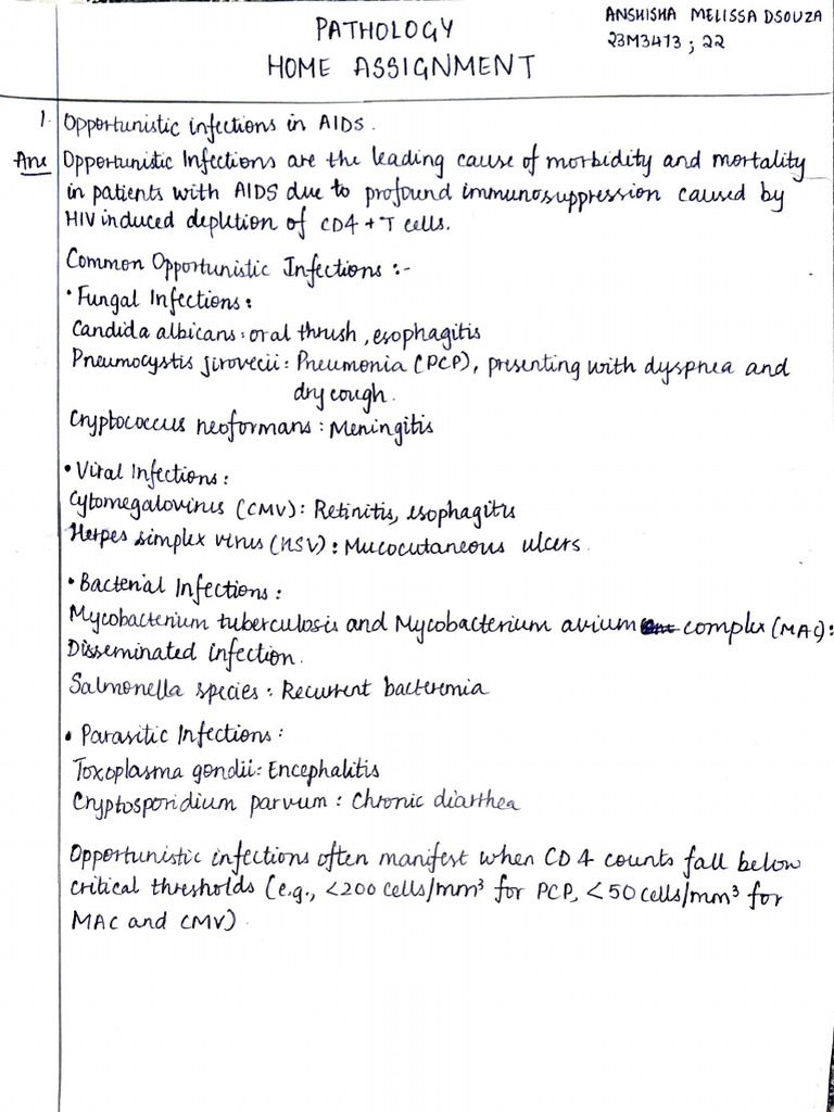 Home Assignment | PDF