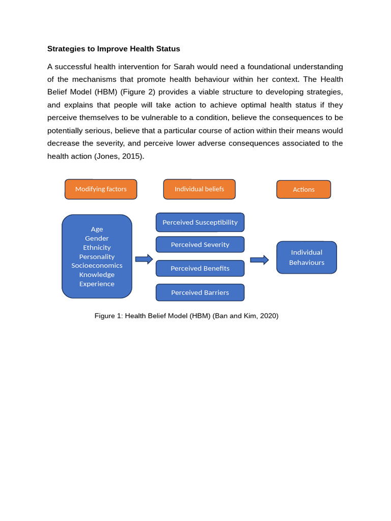Strategies To Improvement of Health | PDF