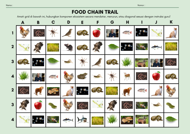 Food Chain Trail | PDF