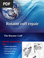 Rotator Cuff and Shoulder Conditioning Program - OrthoInfo - AAOS | PDF ...