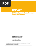 Manual de Configuracion HCM Sap | PDF