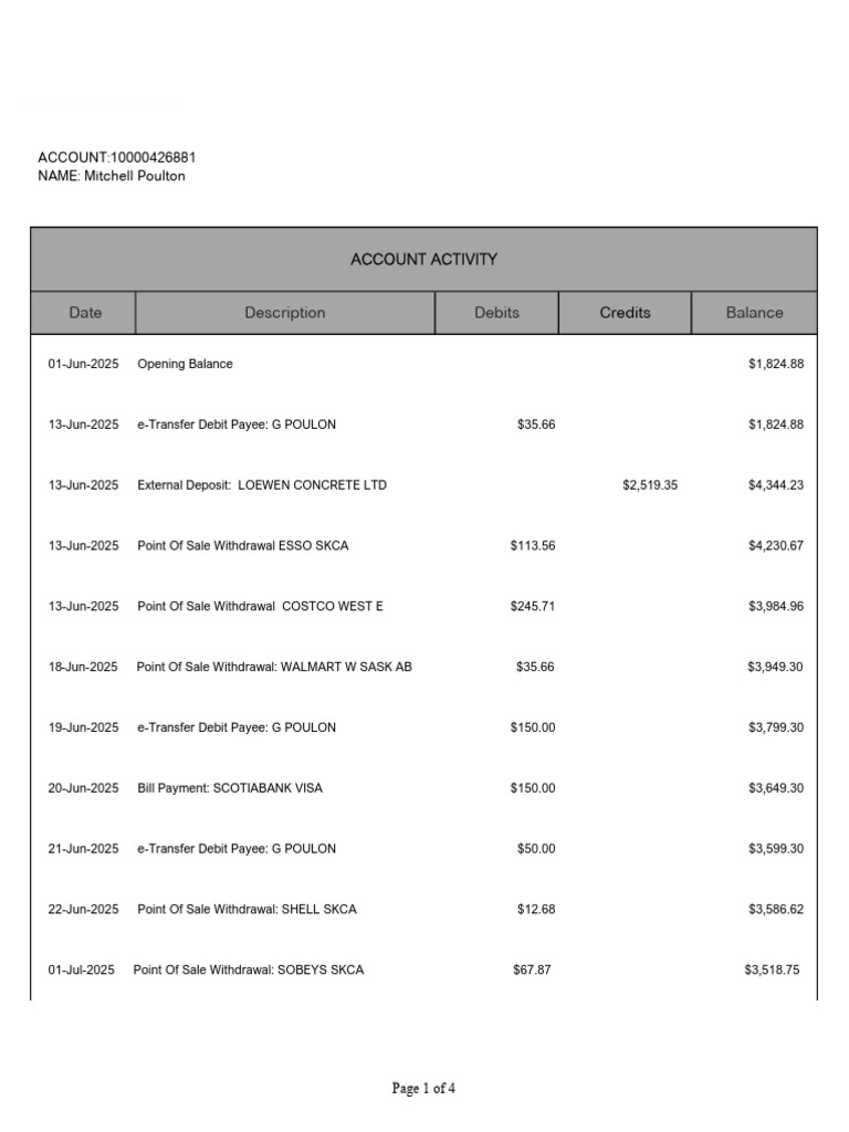 Mitchell Poulton Account Activity Summary | PDF | Payments | Retail ...