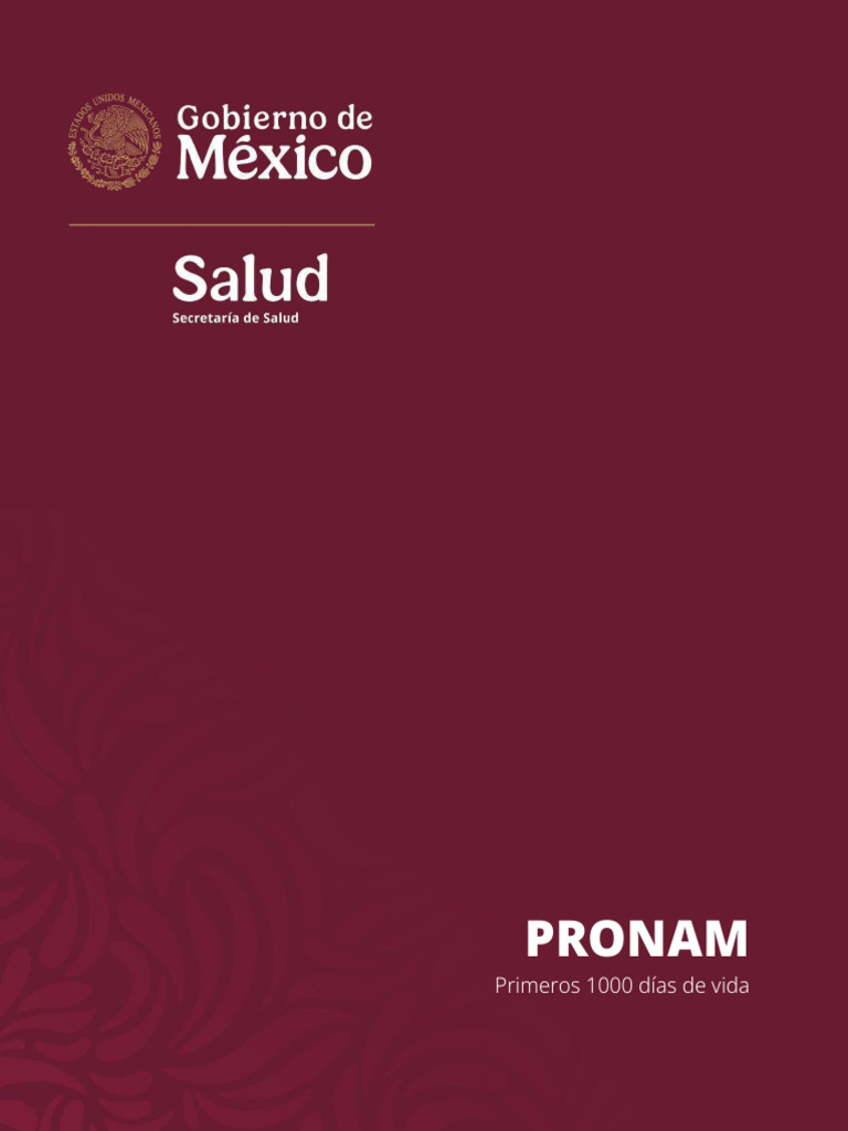Pronam Primeros 1000 Dias | PDF | El embarazo | Amamantamiento