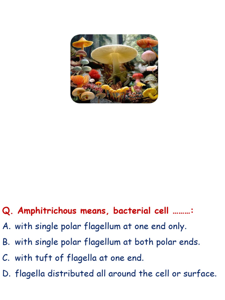 General Characteristics of Fungi | PDF | Fungus | Eukaryotes