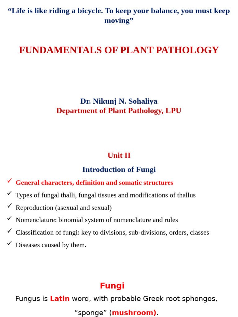 Ectophytic and Endophytic Mycelium | PDF | Fungus | Biology