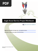 Navigating The Eagle Scout Service Project: Information For Project ...