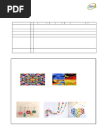 Tulips Fuzzy Wire Tutorial | PDF