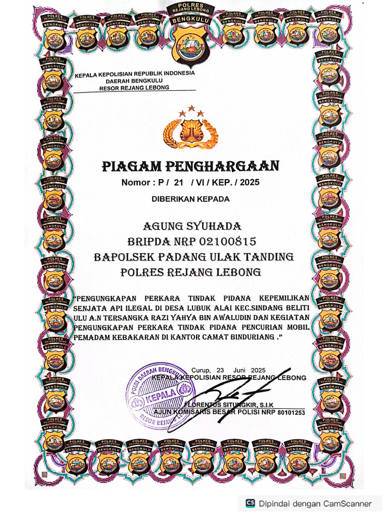 Piagam Penghargaan | PDF