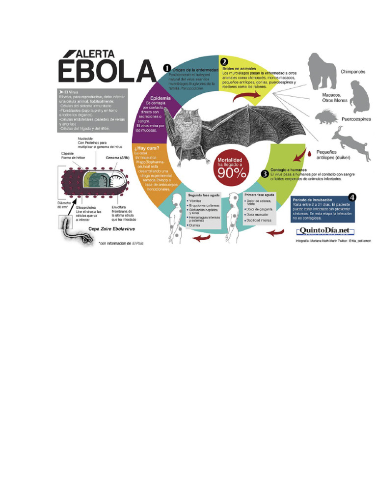 MediaLab - Materiales Visuales 2 | PDF