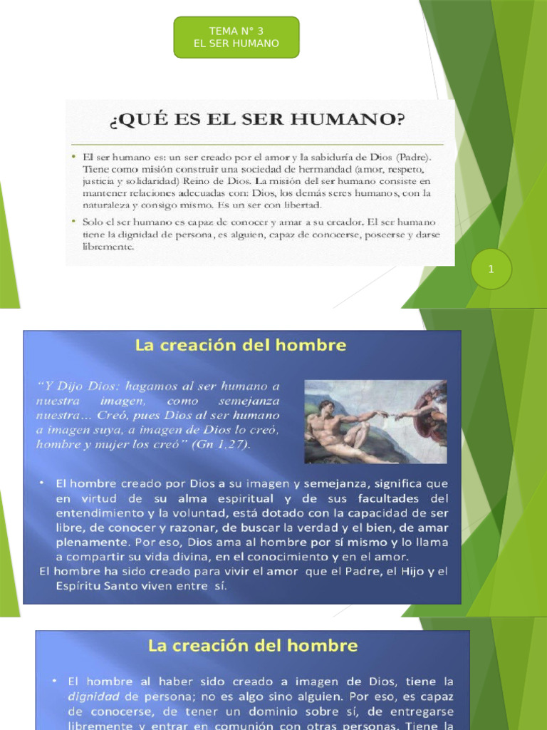El Ser Humano | PDF
