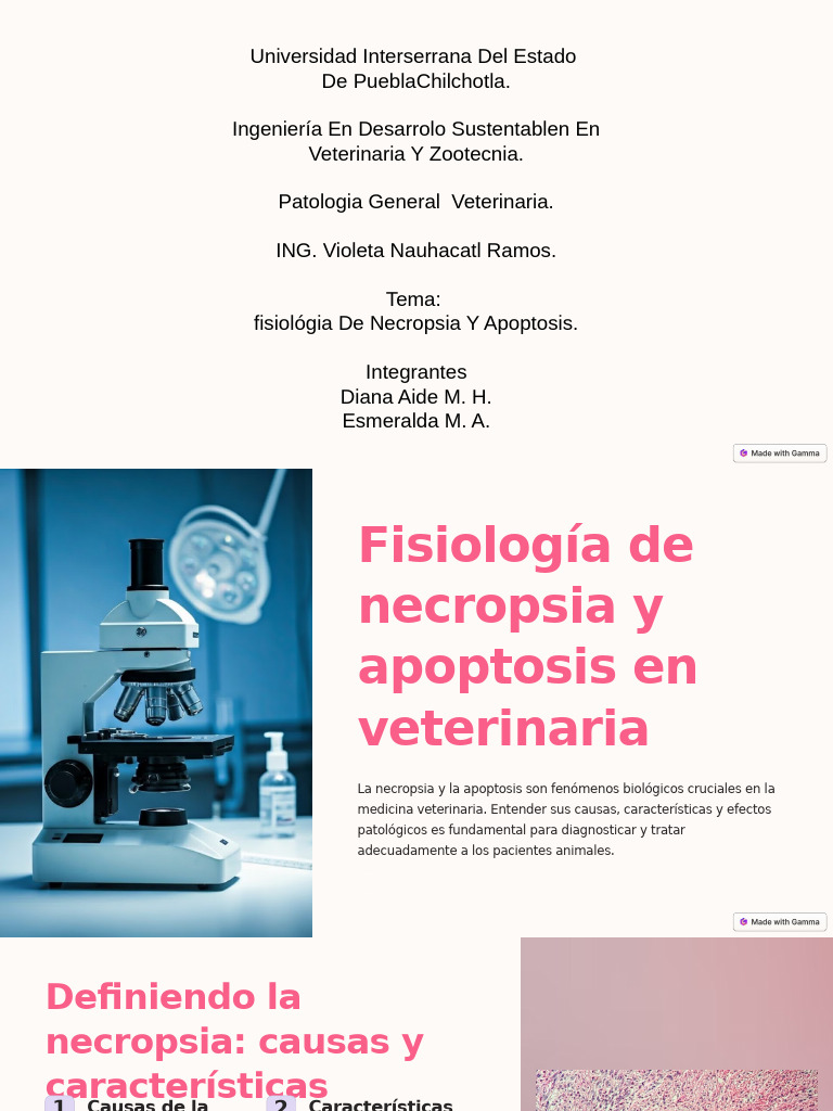 Fisiología de la necropsia en veterinaria | PDF | Apoptosis | Biología ...