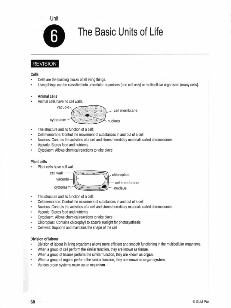 Unit 6 Basic Unit of Life GLM WS | PDF