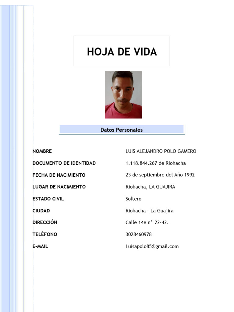 Hoja de Vida de Luis Alejandro Polo | PDF