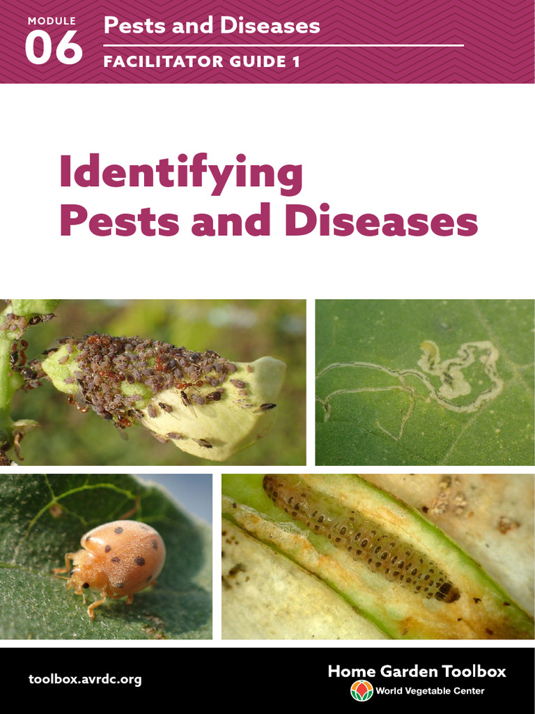 Identify Garden Pests and Diseases Guide | PDF | Pest (Organism ...