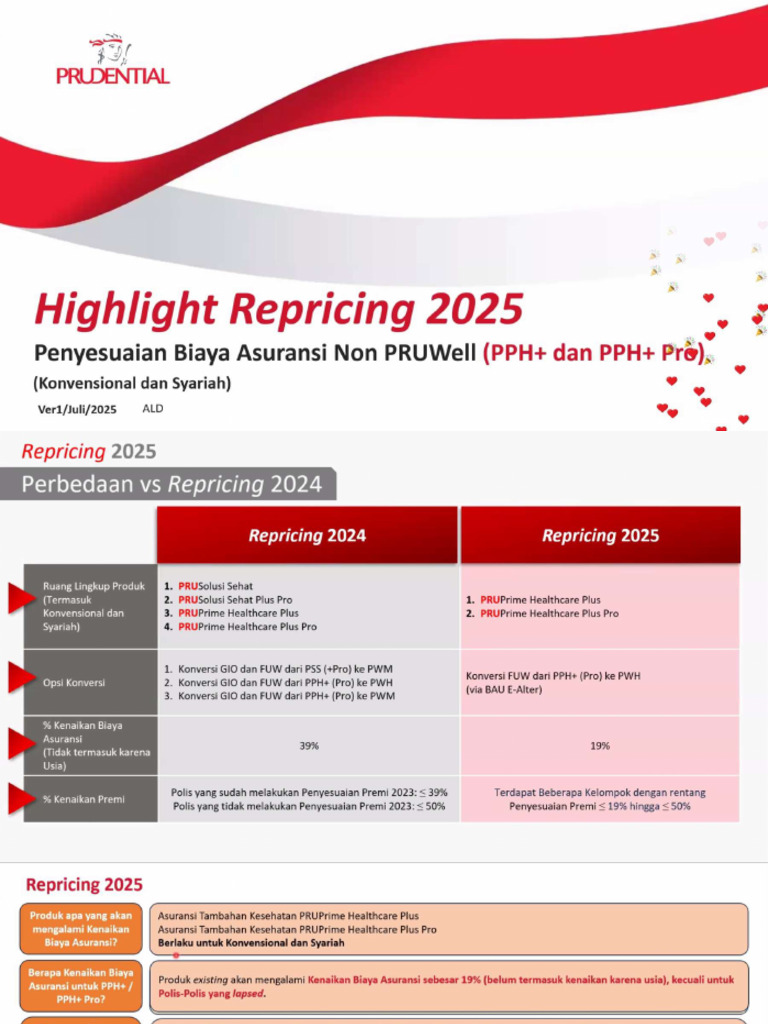 Highlight Repricing 2025 | PDF