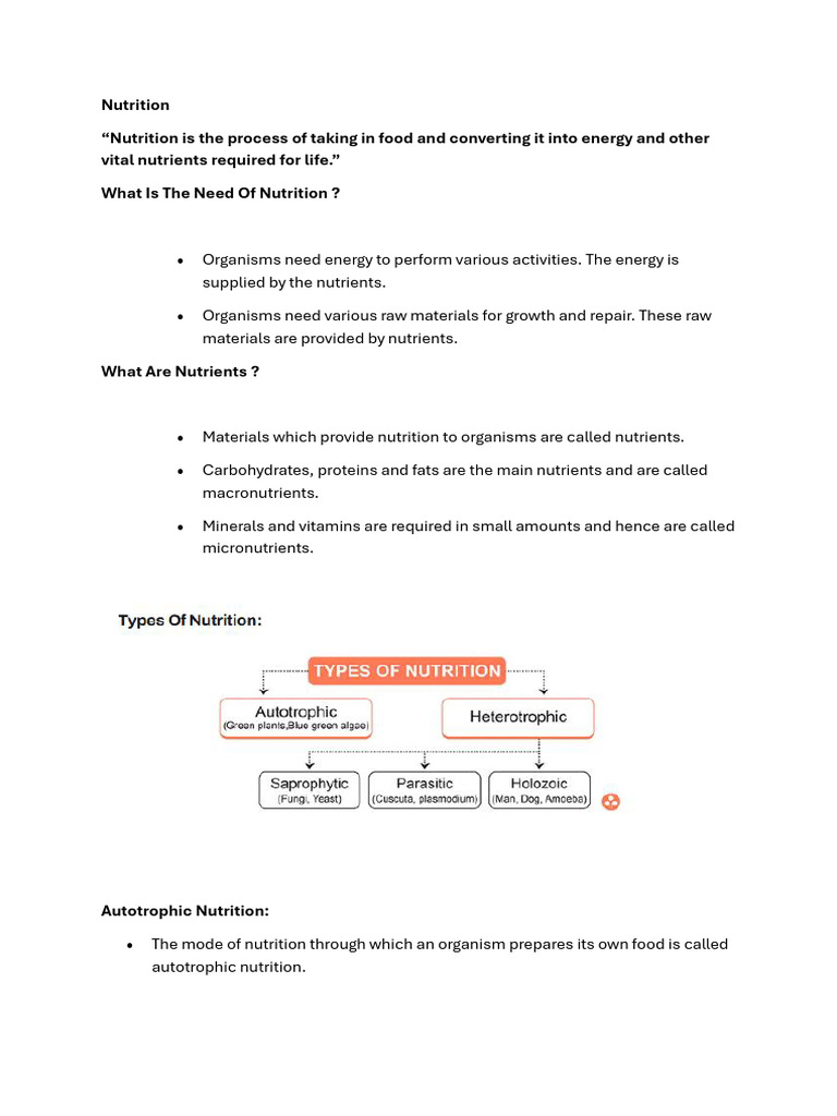 Grade 9 Biology Revision Notes On Photosynthesis | PDF | Nutrition ...