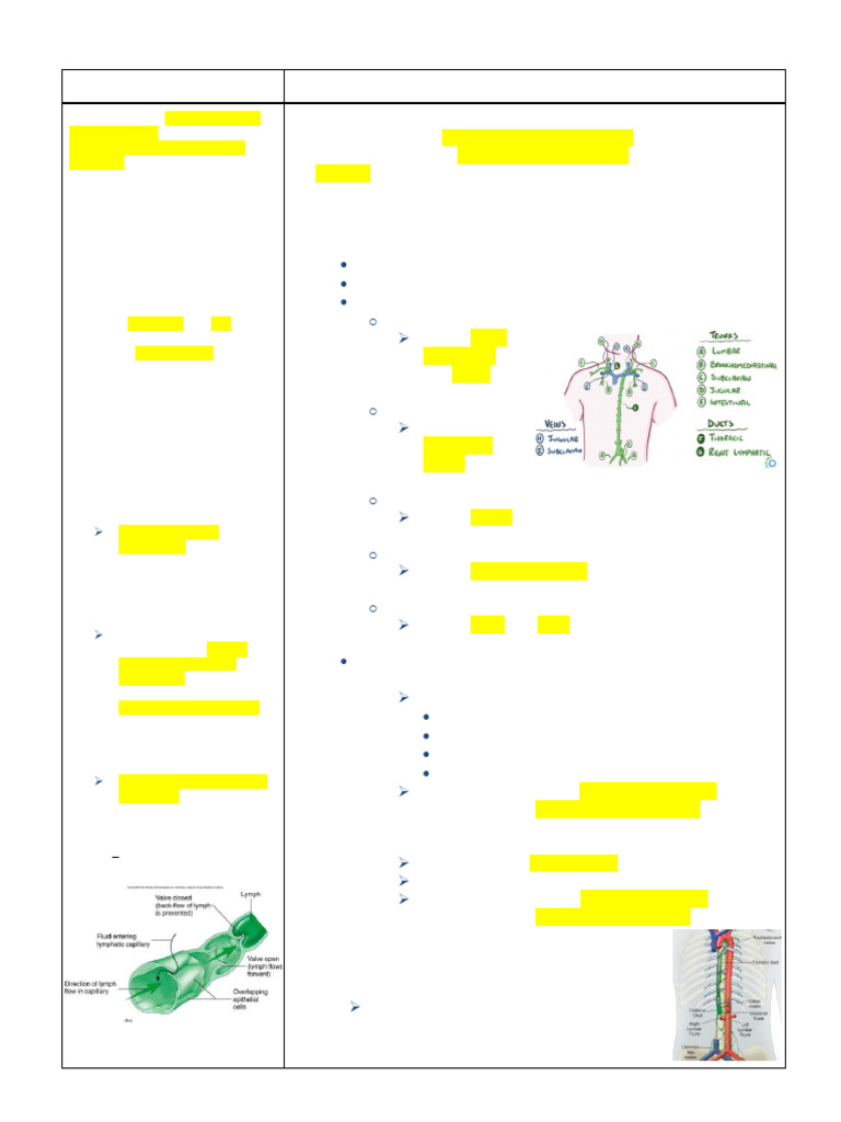 Anaphy Lessons (Lymphatic System) | PDF | Lymph | Lymphatic System