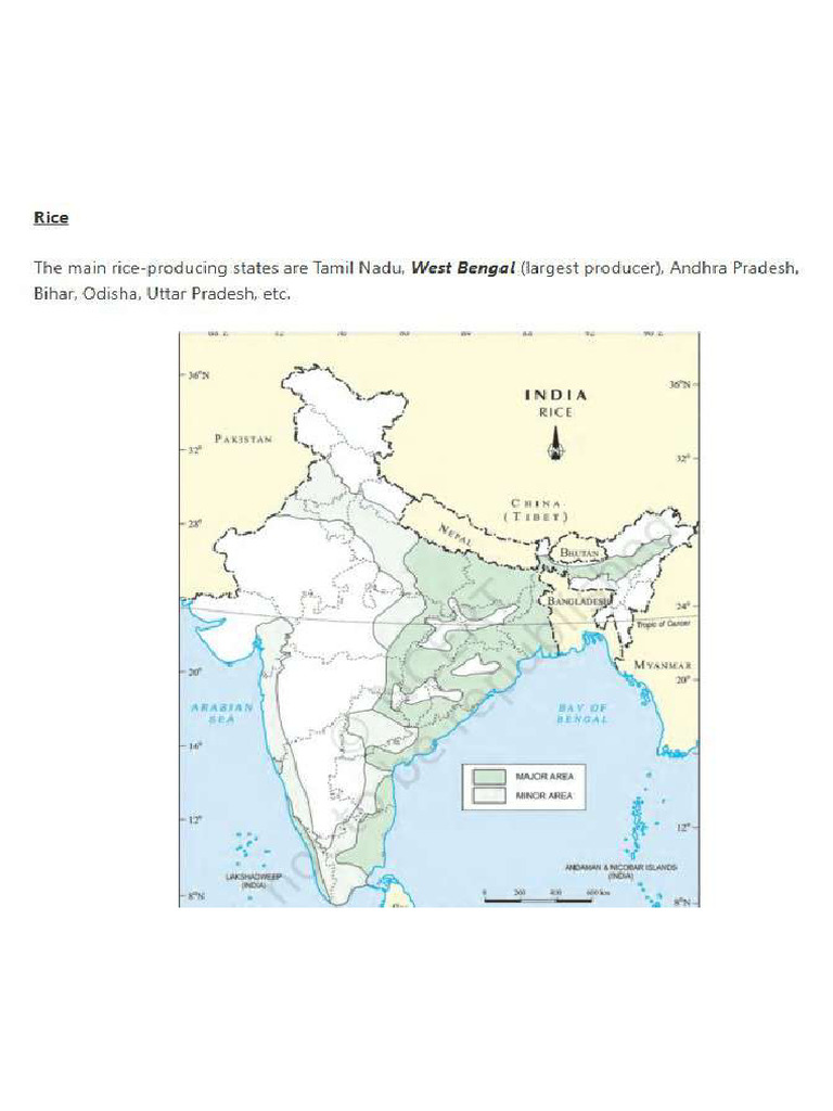 Rice Map | PDF