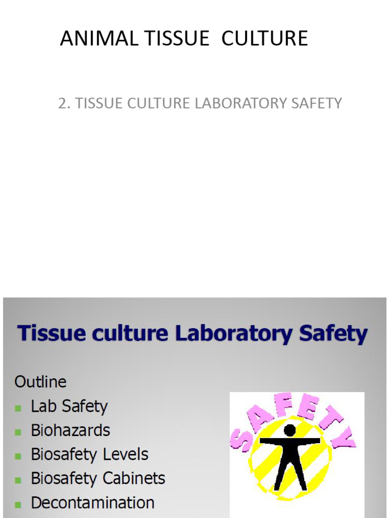 Biosafety in The TC Lab | PDF