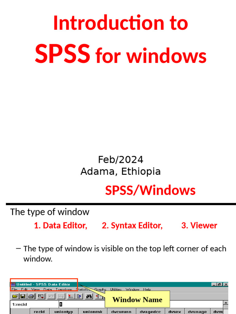 SPSS Windows Overview and Functions | PDF | Spss | Software