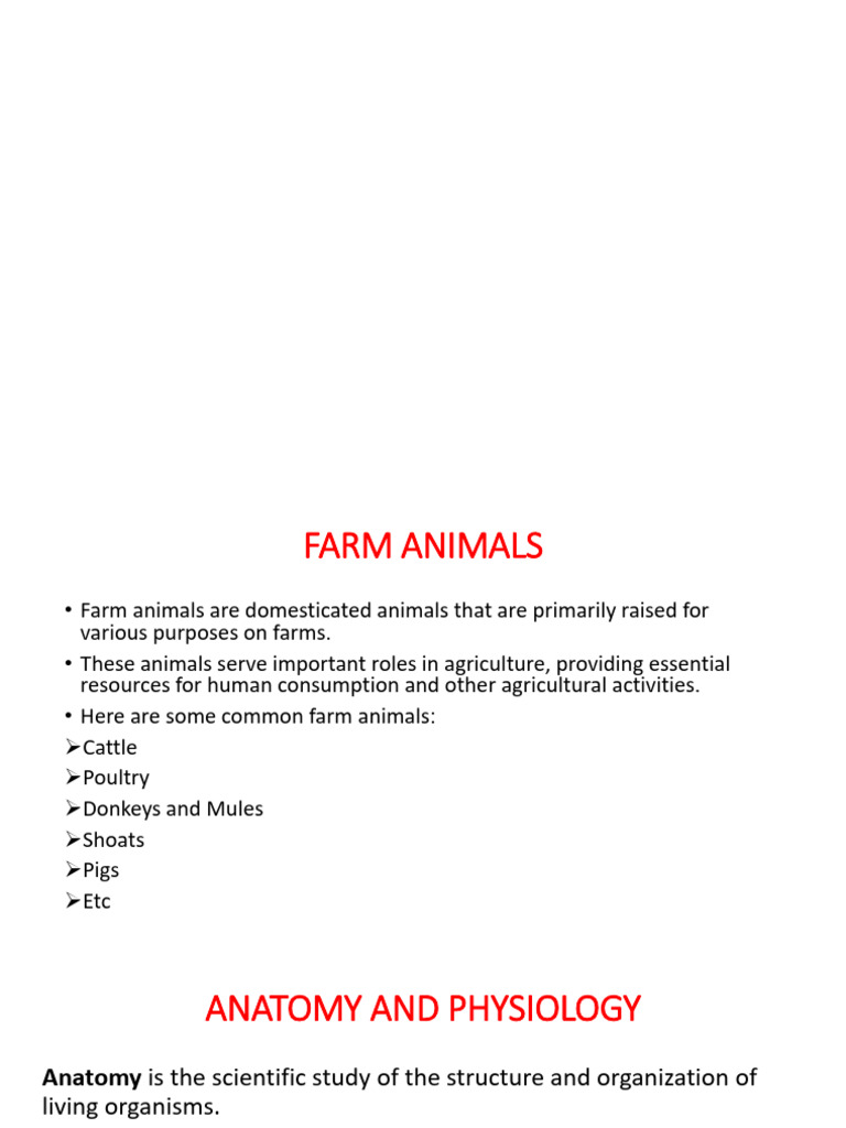 Farm Animal Anatomy & Physiology Guide | PDF | Human Body | Anatomical ...