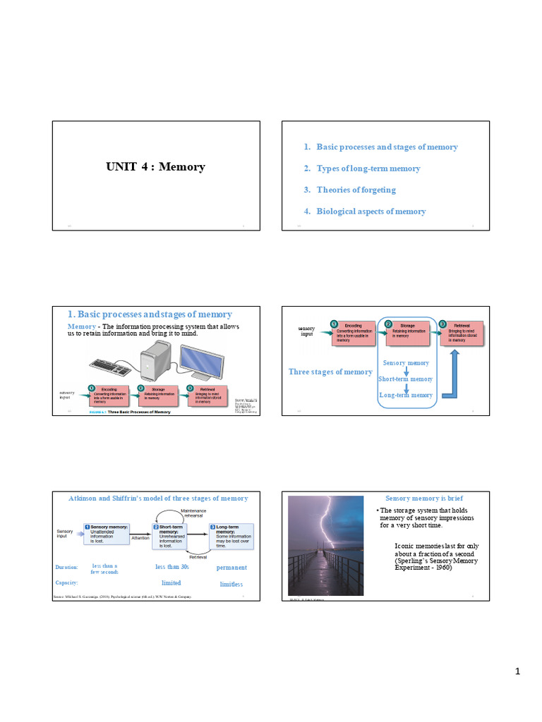 Extending Short-Term Memory Retention | PDF | Memory | Recall (Memory)