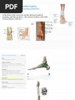 Anatomy of Ankle Retinacula | PDF