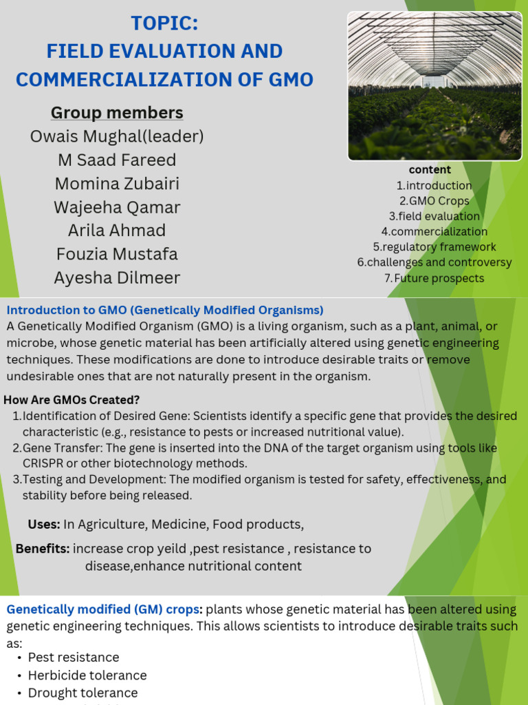 Field Evaluation and Commercialization of GMO (GRP 2) | PDF ...