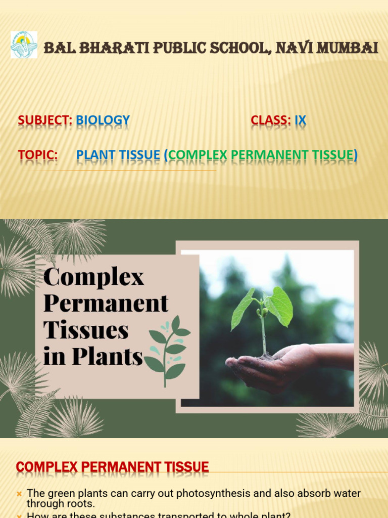 Plant Tissues-Complex Permanent Tissues | PDF | Tissue (Biology) | Biology