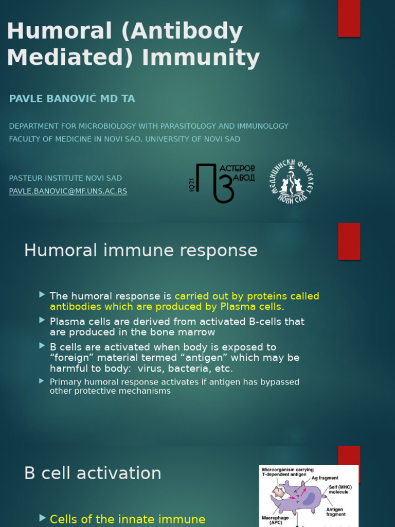 Understanding Humoral Immunity and Antibodies | PDF | Antibody ...