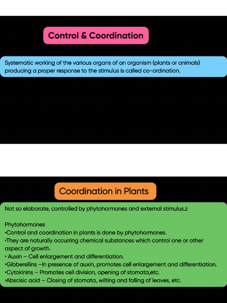 Control & Coordination Quick Revision | PDF