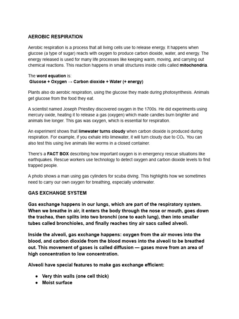 Chapter 3 - Breathing and Respiration | PDF | Breathing | Respiratory ...