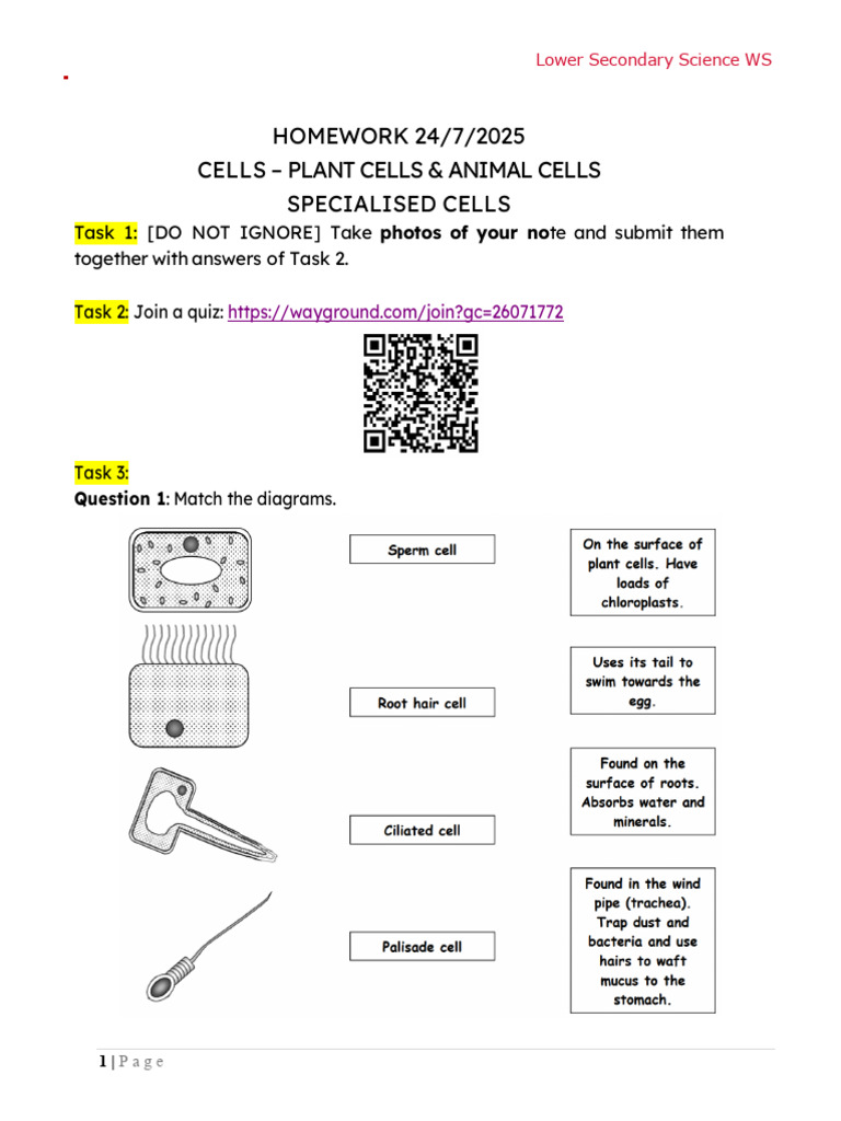 Cells - Review | PDF
