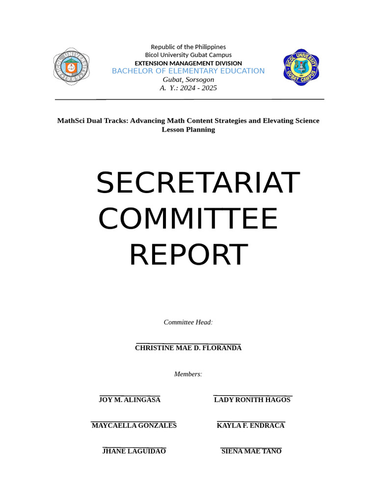 Committee Report Template | PDF