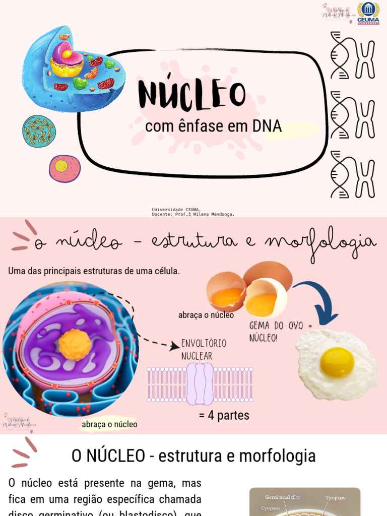 Estrutura e Função do Núcleo Celular | PDF | Código genético | RNA ...