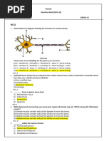 Tissues Work Sheet - Answer Key | PDF | Tissue (Biology) | Anatomy