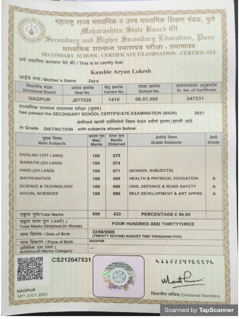 10th Marksheet Aryan | PDF