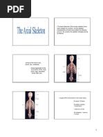 Unlabeled Axial Skeleton Overview | PDF | Skull | Skeletal System