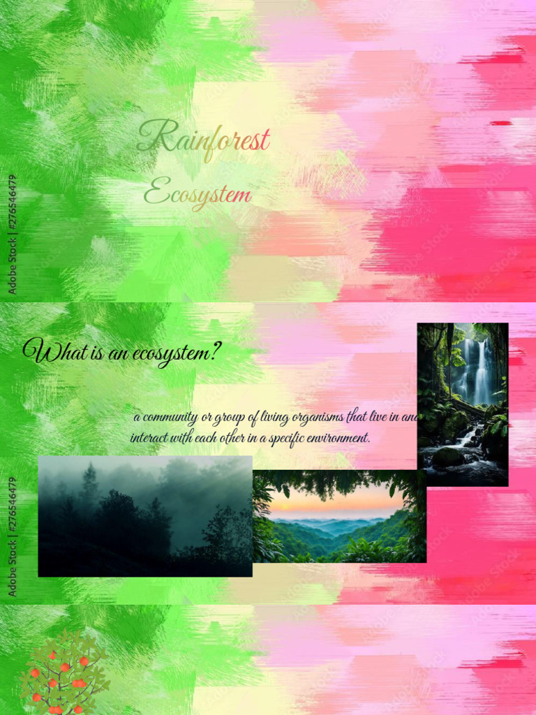 Rainforest Ecosystem Overview | PDF