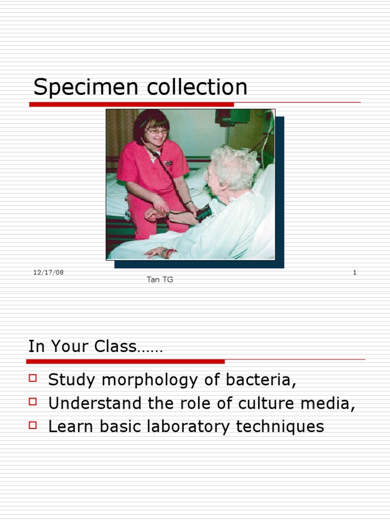 Specimen Collection | PDF | Bacteria | Growth Medium