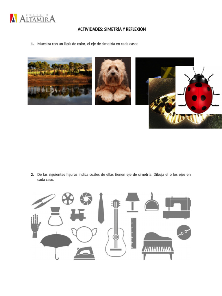 Guía Simetría | PDF