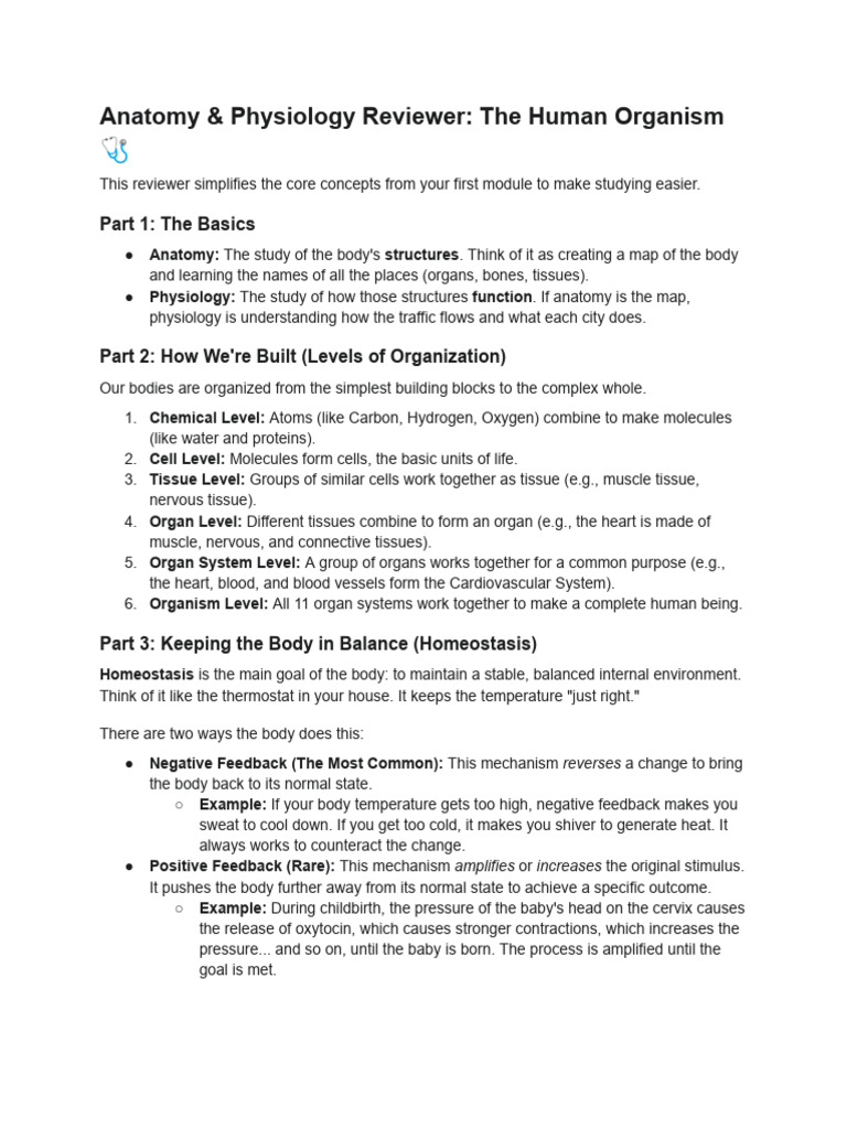 Human Anatomy & Physiology Overview | PDF | Anatomical Terms Of ...