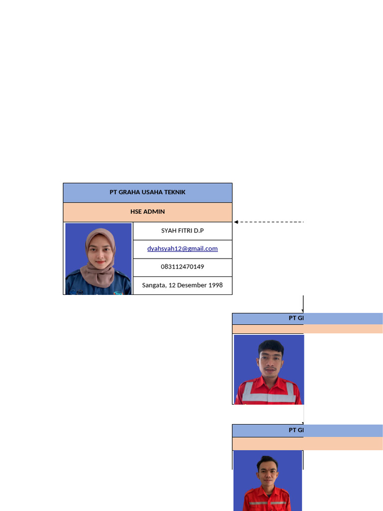 Fow Chart Hse PT Gut | PDF