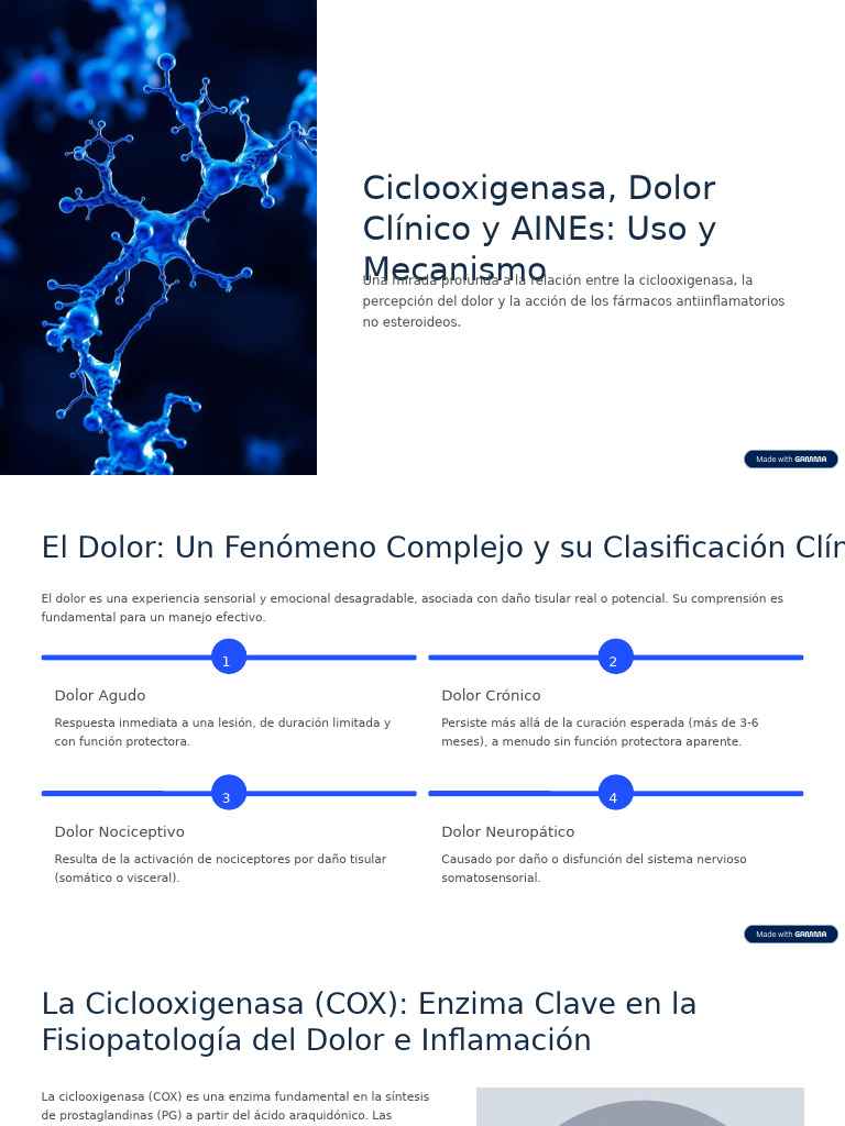 Ciclooxigenasa Dolor Clinico y AINEs Uso y Mecanismo | PDF | Droga anti ...