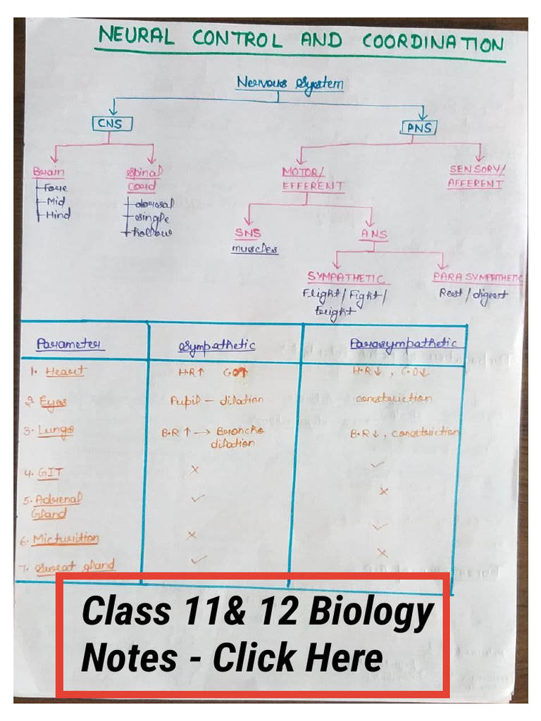 Class 11& 12 Biology Notes - Click Here | PDF