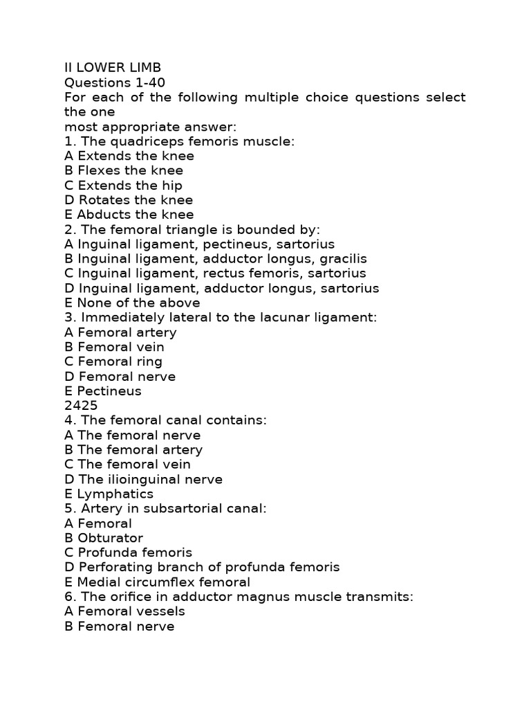 Lower Limb | PDF | Human Leg | Foot