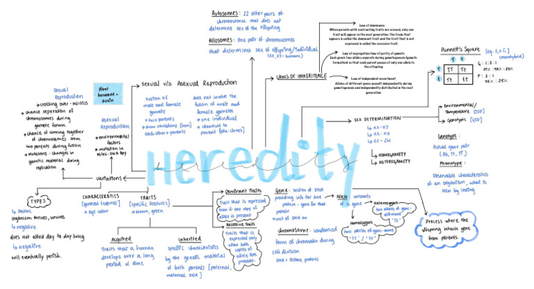 Heredity Concept Map | PDF