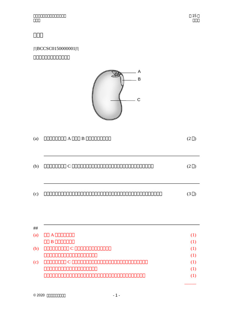 BIO Ch15 SQ C | PDF